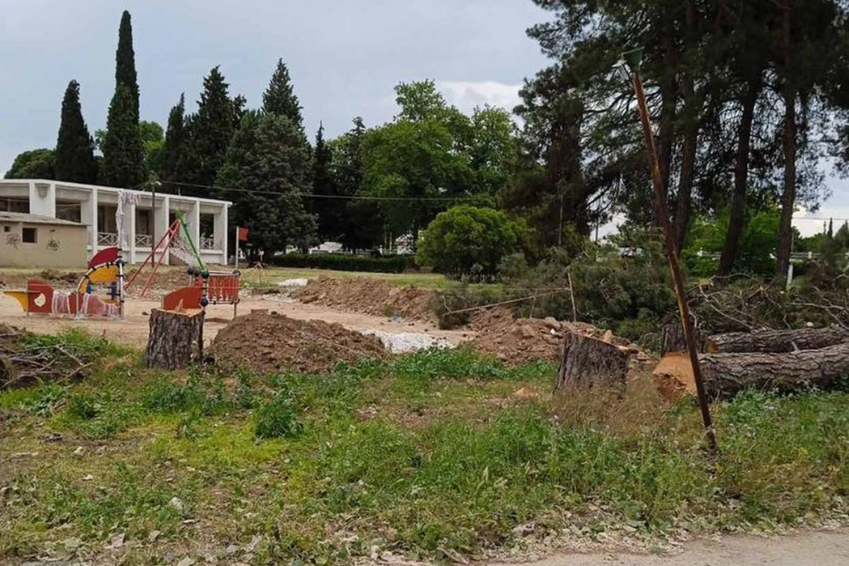 syndimotis.com Κοπή επικίνδυνων δέντρων στον περιβάλλοντα χώρο του ...