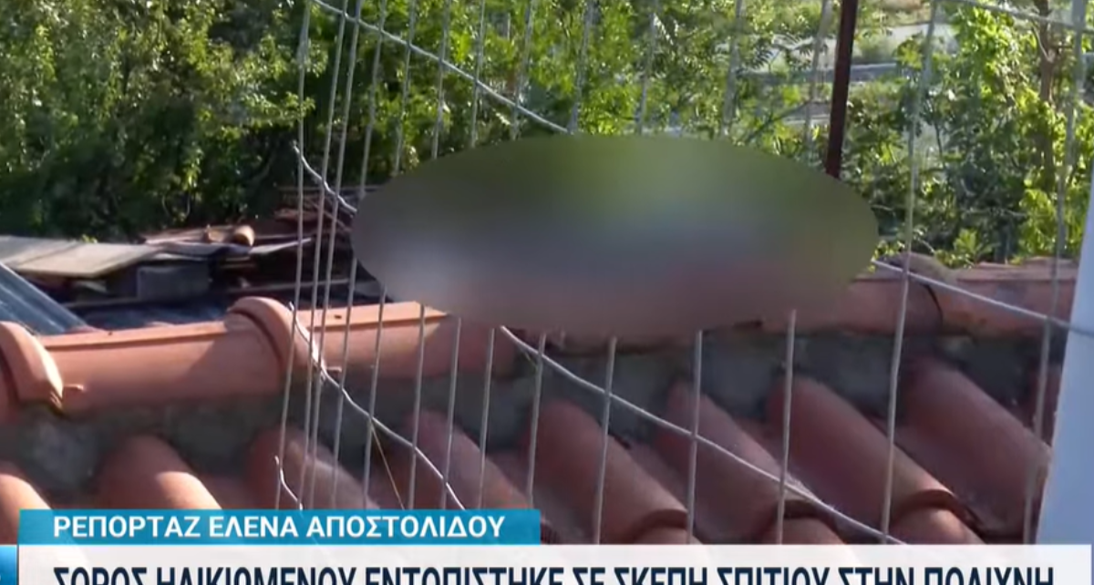 Πολίχνη: Σορός άνδρα βρέθηκε σε σκεπή σπιτιού (video)