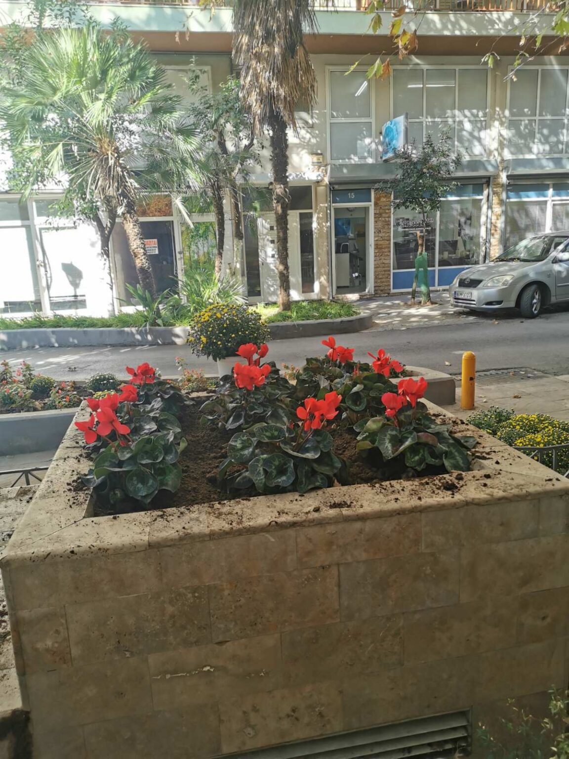 Ξεκίνησαν οι χειμερινές ανθοφυτεύσεις στο Δήμο Αμπελοκήπων – Μενεμένης